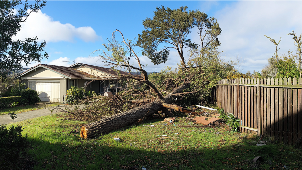 Does Home Insurance Cover Fences? A Complete Guide For Homeowners ...